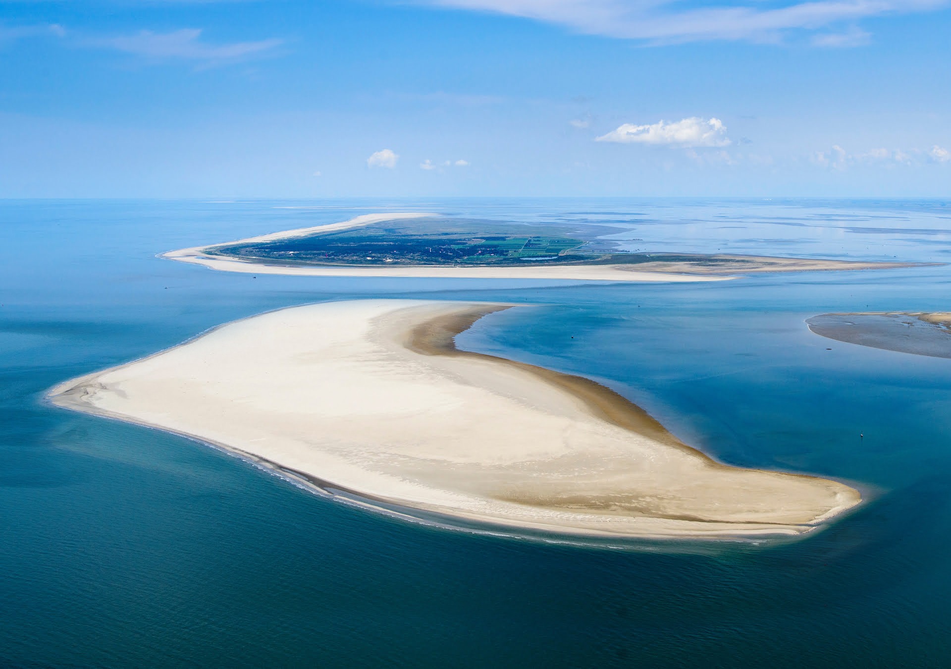 Nikki Born – Jellyfish on air